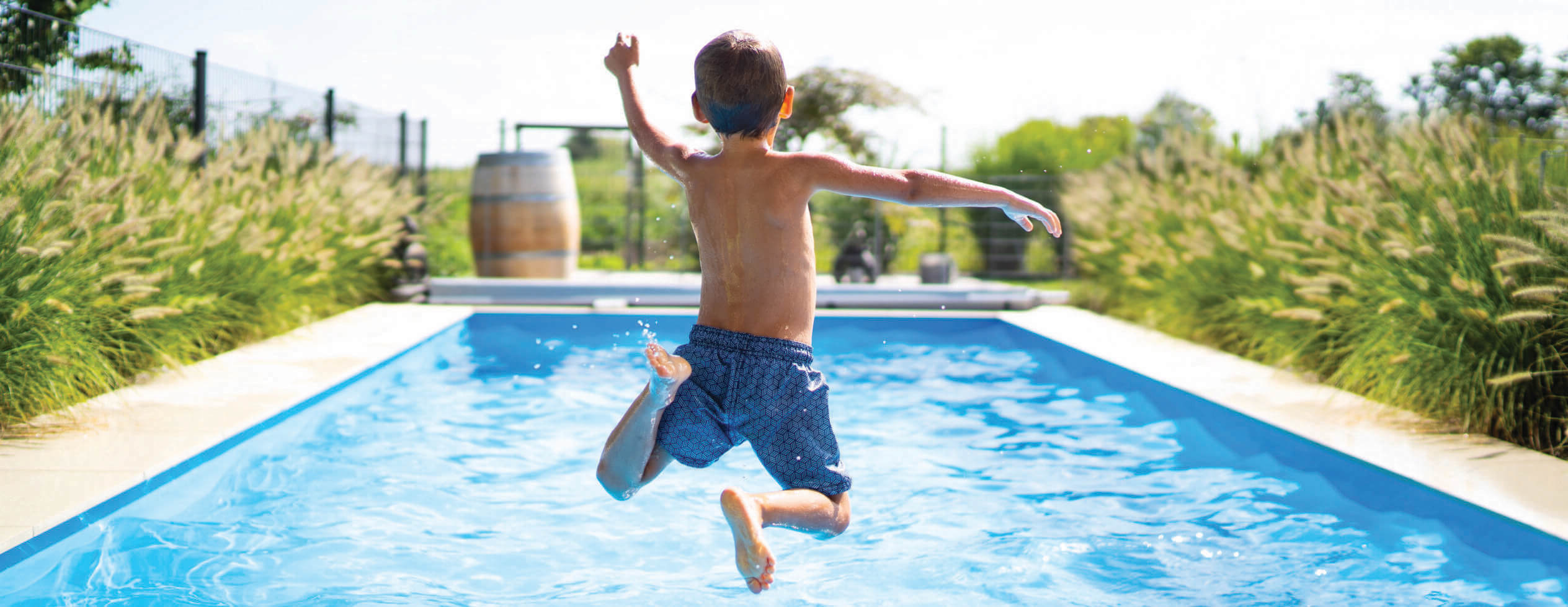 Pool Planting Tips & Tricks | Swimart